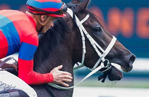 【凱旋門賞】なぜ南半球産馬が参戦？豪最強ウォーラー師の金言は関係者＆ファン必見 Jra Van World 海外競馬情報サイト