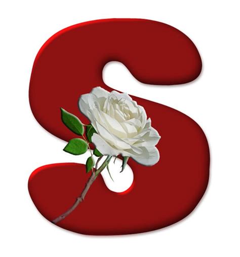 Sussurro De Amor Alfabeto Decorativo Png Textura Vernelho Com Rosas