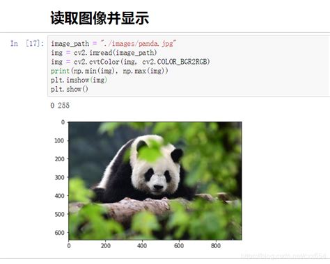 Nvertimagedtype使用注意事项image转float Csdn博客
