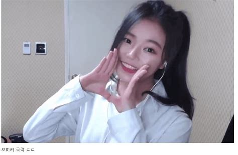 릴파 얼굴 스트리머 갤러리