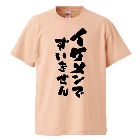 おもしろtシャツ イケメンですいません ギフト プレゼント 面白 メンズ 半袖 無地 漢字 雑貨 名言 パロディ 文字 Fd0109