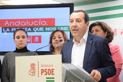 El Psoe De Málaga Se Echará A La Calle El 25n Para Exigir Al Gobierno