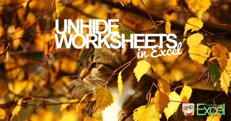 How To Unhide All Hidden And Very Hidden Excel Sheets At Once