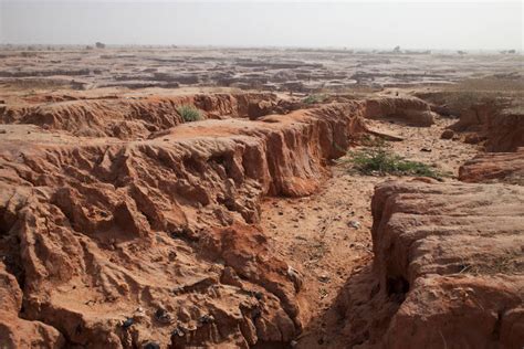 25 Of The Total Land Area Has Been Degraded Major Actions Are Needed