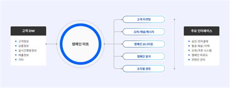 전사적 타겟 마케팅 시스템 주이지코어솔루션즈