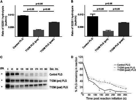 Effects Of Glycemia On Plasminogen Conversion To Plasmin Using Download Scientific Diagram