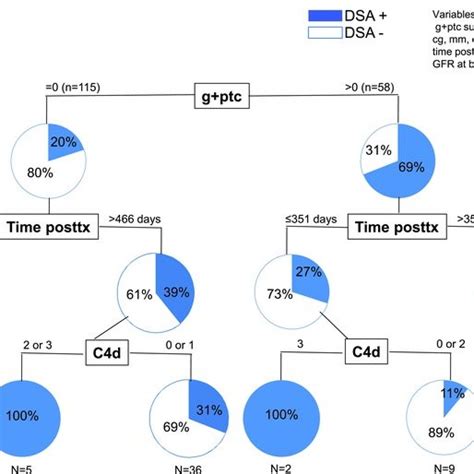 Decision Tree Analysis For Predicting Donor Specific Antibody Status At