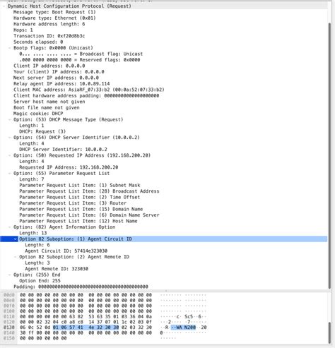 Dhcp Option 82 And The Endless Possibilties Wifi Lodestar