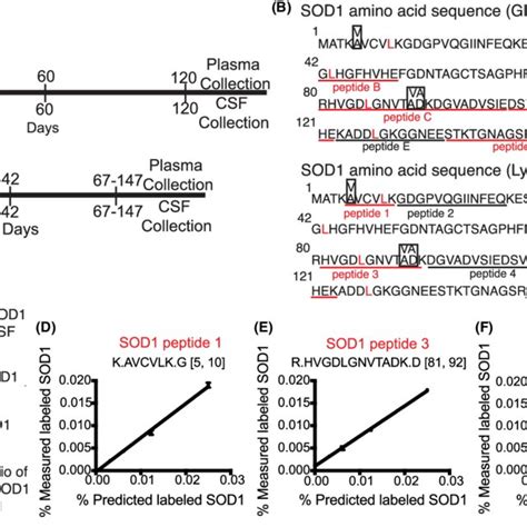 Isolation And Measurement Of Heavy Labeled Human Sod1 In Csf By Mass Download Scientific
