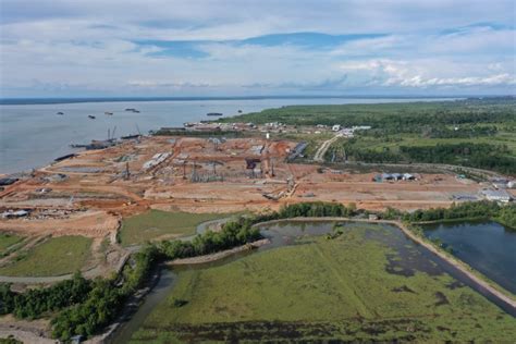 Pabrik Kayu Rusak Ekosistem Mangrove Dan Timbulkan Dampak Polusi