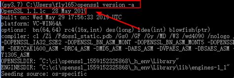 Openssl Python Example