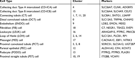 Identification Of Cell Types In Scrna Seq Data Via Highly Variable