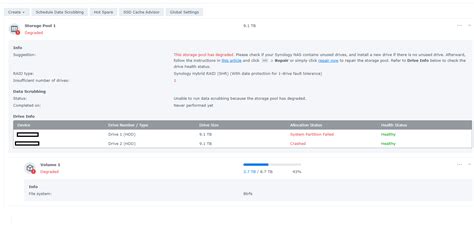 Storage Pool On Synology NAS Show Both Drives As System Partition