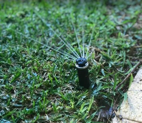 What Is Irrigation And Why Is It Important Perth Reticulation Experts