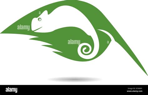 Lizard Vector Illustration Logo Template Stock Vector Image And Art Alamy