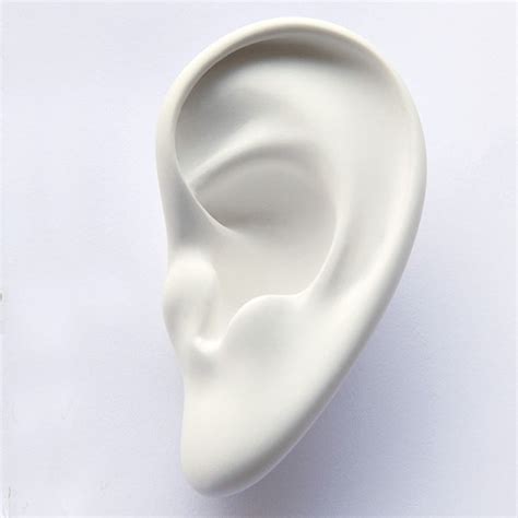 Sabine Klupsch Künstlerinnenforum Münsterland Ev