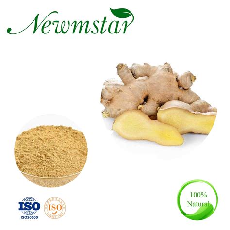 High Quality Dried Zingiber Officinale Yellow Ginger Extract 5 20