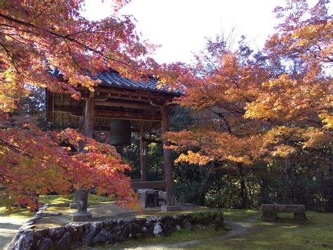 西明寺 紅葉 2021 京都観光旅行ガイド