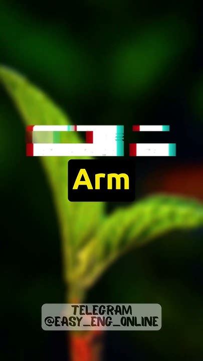 👨‍🎓🇬🇧 Переведи с Английского на Русский слова быстрее чем Я 80 🎈 Английские слова для Youtube