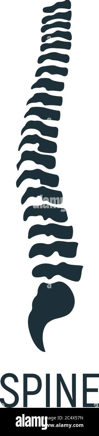 Spine Backbone Bone X Ray Concept Icon Roentgen Human Body Image