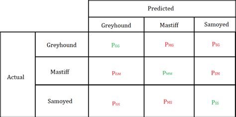 Understanding the Confusion Matrix II 拾光赋