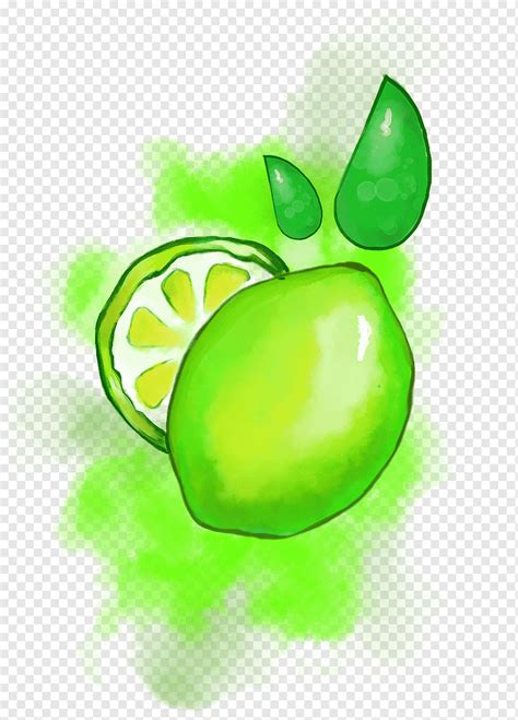 라임 과일 그린 사 우 어 감귤 류 민트 전열 신선도 신선한 Png Pngwing