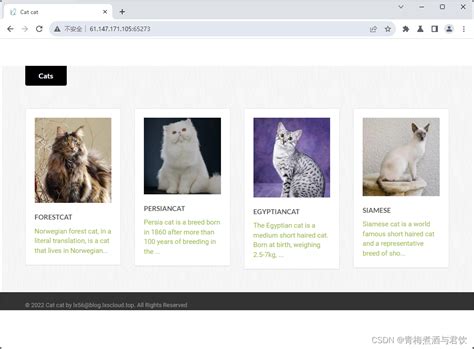 Catcat New Catcat New Csdn