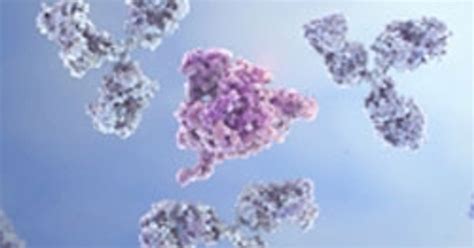 Host Cell Protein Hcp Elisa Detection Kits Selectscience