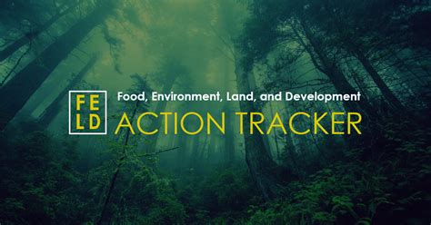 Report Analysis Of Ndcs