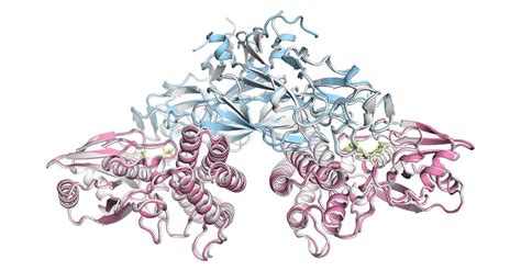 Innovationrx Deepmind Unveils Its New Protein Folding Ai Model Alphafold 3