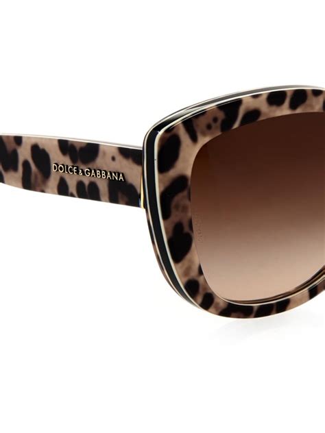 Dolce And Gabbana Leopard Print Cat Eye Sunglasses Lyst