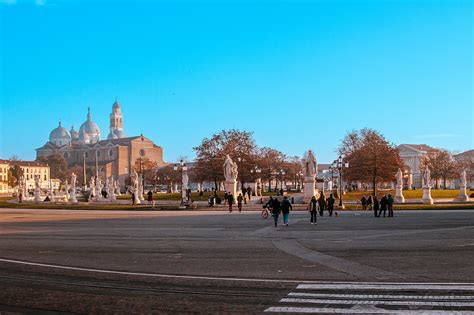 Padova on Behance