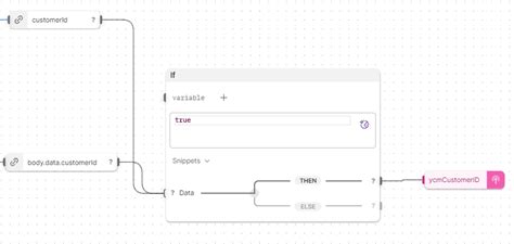 Two Paths Into One Variable Ask The Experts And Postman Tips