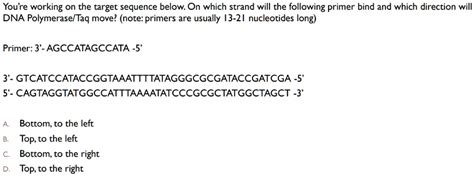 SOLVED Youre Working On The Target Sequence Below On Which Strand Will The Following Primer