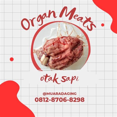 Jual Grassfed Beef Otak Sapi Shopee Indonesia