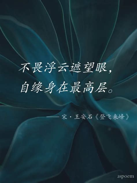 登飞来峰 宋·王安石 拼音、注解、译文白话文 现代化诗词学习网站