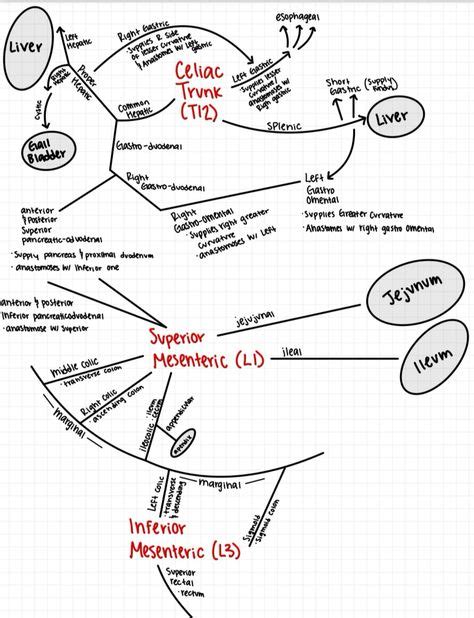 Hailey Gray Haileyygray Profile Pinterest