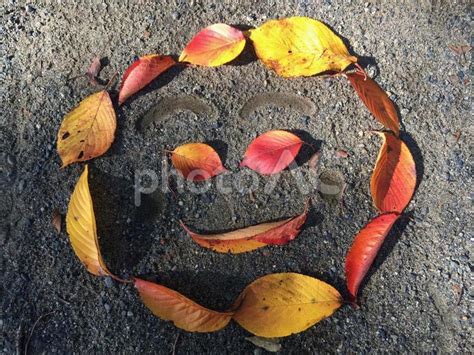 紅葉の葉っぱで作った顔 No 3591049｜写真素材なら「写真ac」無料（フリー）ダウンロードok