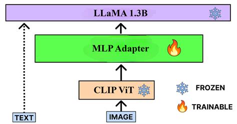 Fine Tuning A Vision Transformer Vit Model With A Custom Dataset By