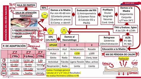 ATENCION DEL RECIEN NACIDO NEONATOLOGIA PARTE 1 ENAM YouTube