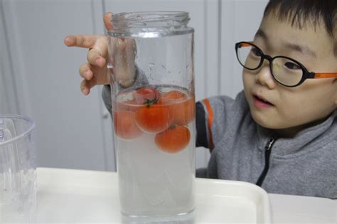 토마토 물에 띄우기 방울토마토로 도레미 만들기 간단한 과학 실험 엄마표 과학 놀이 네이버 블로그