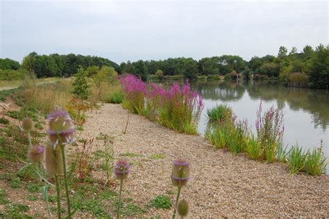 The Lake Dunton Plotlands Nature © Trevor Harris Geograph