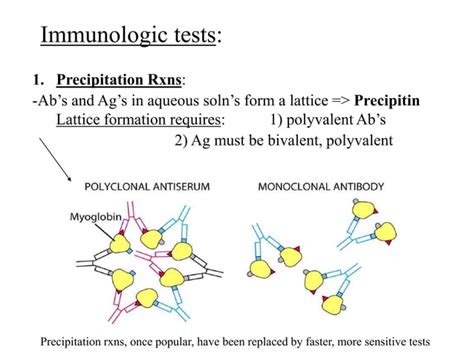 Antigen Antibody Interaction Ppt