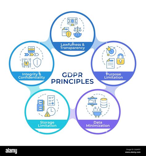 Gdpr Principles Infographic Circles Flowchart Stock Vector Image And Art