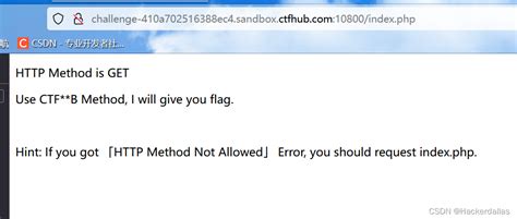 Ctfhub 协议 Csdn博客