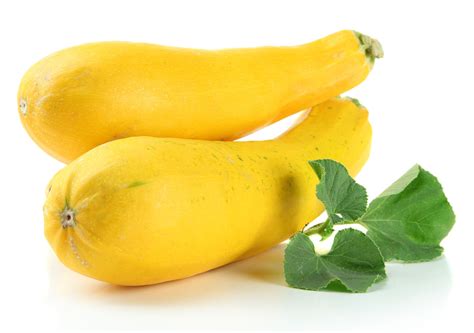 Yellow Squash