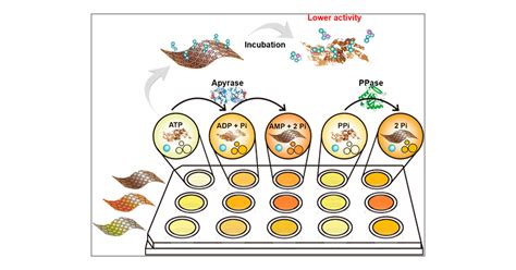 2d Metalorganic Framework Nanozyme Sensor Arrays For Probing Phosphates And Their Enzymatic