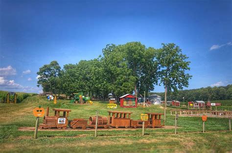 Gaver Farm Pumpkin Patch Near Me