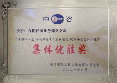 中咨石化轻纺业务部网站