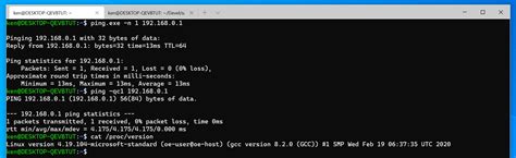 Some Ip In Sub Net Are Not Accessible Inside Wsl2 · Issue 5427